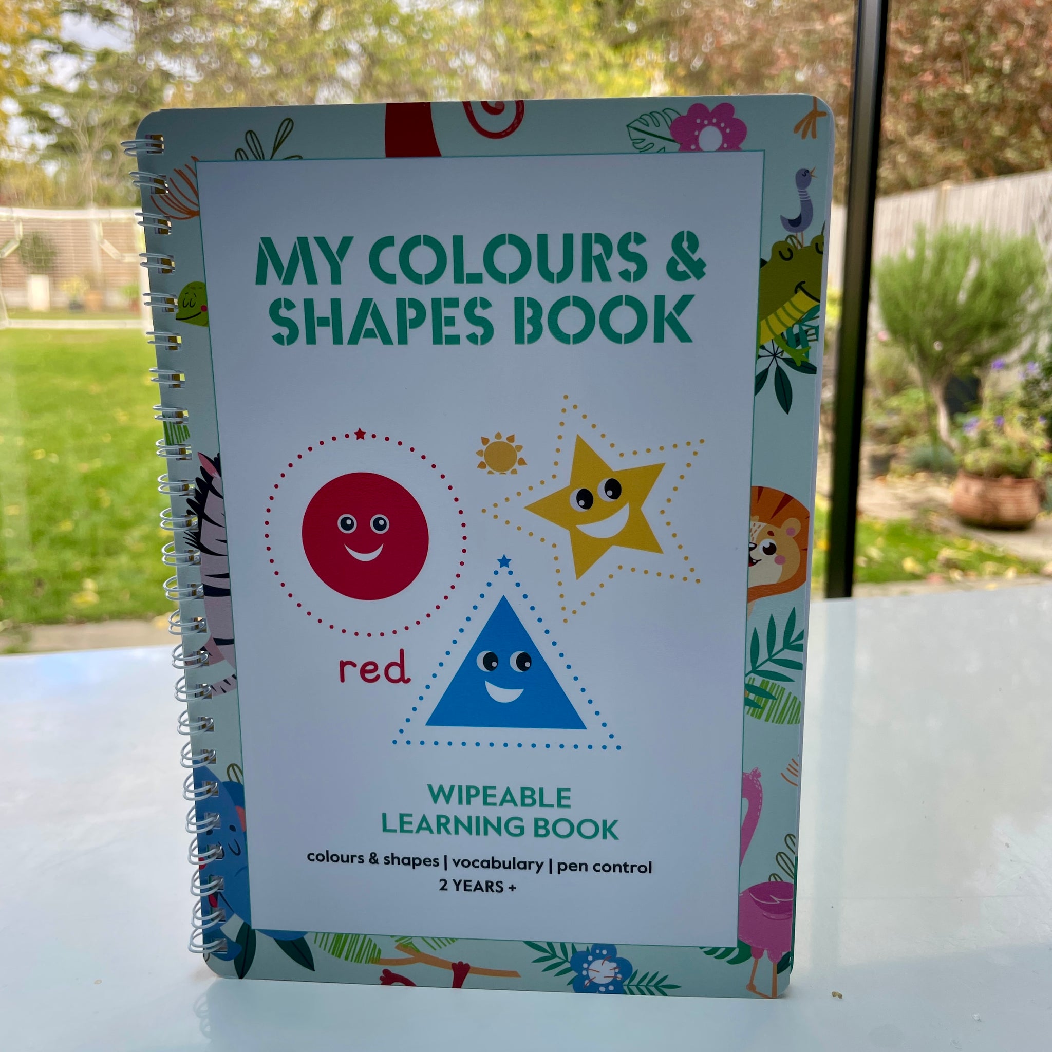 Colours Flashcards and Shapes | Wipeable Activity Book For Toddlers ...