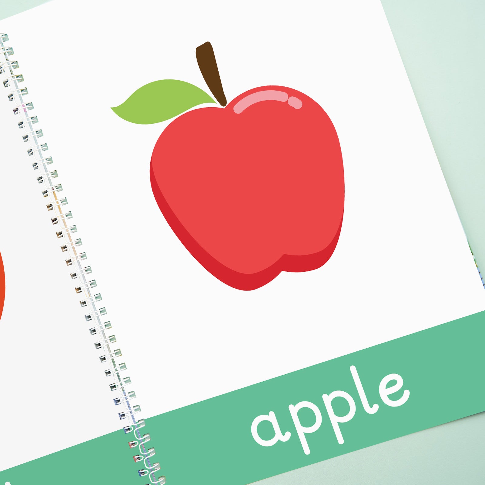 First Words Flashcards Wipeable Activity Book – My Little Learner