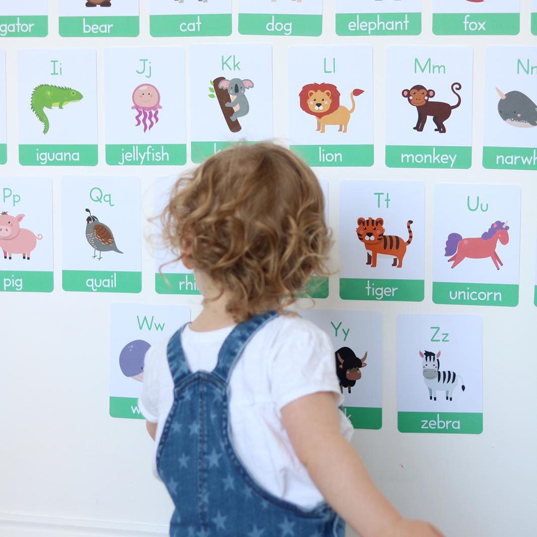 Toddler Alphabet Flashcards, ABC Educational Flashcards – My Little Learner