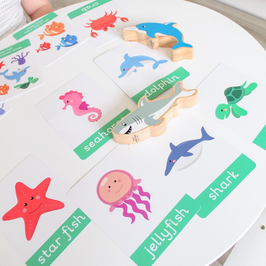 Under The Sea Flashcards - 0 left – My Little Learner